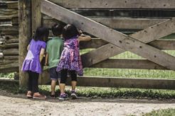 3 ways early childhood educators can help kids get along and feel included