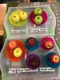 17 Preschool Interdisciplinary Apple Lessons & Activities | Rainforest ...